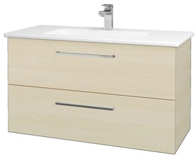 Dřevojas Koupelnová skříň GIO SZZ2 100 Varianta: M01 Bílá mat / Úchytka T02 / M01 Bílá mat