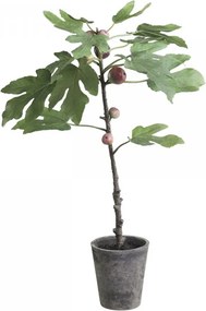 Dekorace umělý Fíkovník v keramickém květináči Old - 76cm