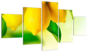 Obraz citrónů (125x70 cm)