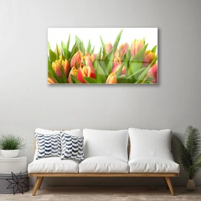 Obraz na skle Tulipány Květiny Rostlina 120x60 cm