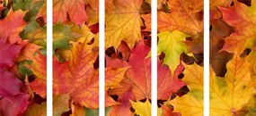 5-dílný obraz listy podzimu