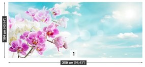 Fototapeta Orchideje Modrá 104x70