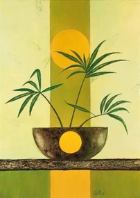 Sluneční palmy II - 50 x 70 cm