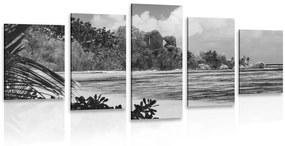 5-dílný obraz pláž na ostrově La Digue v černobílém provedení
