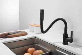 Gamma Flex 4000, stojánková dřezová baterie s flexibilním ramenem, 2-funkční výtok, černá matná, GMA-BFX-4000BK