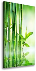 Wallmuralia Vertikální Foto obraz na plátně Bambus ve vodě 50x100