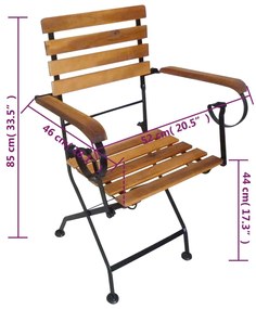 Skládací zahradní židle 2 ks ocel a masivní akácie - Default Title