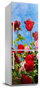 Wallmuralia Foto nálepka na ledničku stěnu Divoká růže 60x180 cm