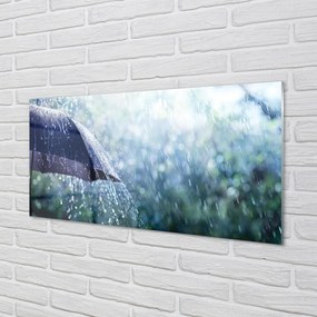 akrylový obraz Umbrella dešťové kapky 100x50 cm
