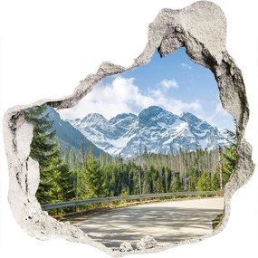 Wallmuralia Díra 3D ve zdi nálepka Cesta Tatry 75x75 cm