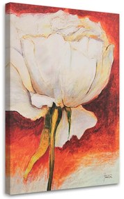 Gario Obraz na plátně Bílá pivoňka jako ručně malovaný Rozměry: 40 x 60 cm