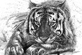 Obraz predátor zvířat v černobílém provedení Varianta: 120x80