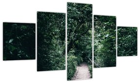 Obraz - Cesta lesem (125x70 cm)