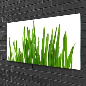 Obraz na skle Tráva 120x60 cm