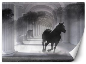 Gario Fototapeta Běžící kůň Materiál: Vliesová, Rozměry: 200 x 140 cm