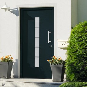 Vchodové dveře hliník a PVC antracitové 100 x 200 cm 3056812