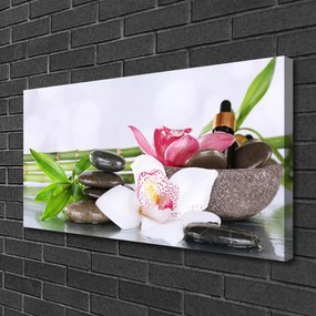 Obraz na plátně Orchidej Kameny Bambus 100x50 cm