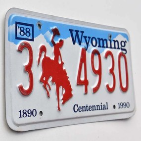 Americká SPZ Wyoming Bronco Centennial 3 4930
