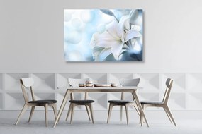 Obraz bílý květ lilie na abstraktním pozadí Varianta: 120x80