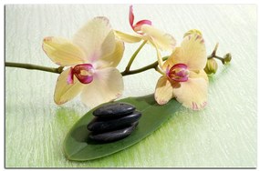 Obraz na plátně - Květy orchideje 162A (120x80 cm)