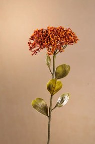 Paramit DRY FULL BLOOM SEDUM Aranžovací květina oranžová 46 cm