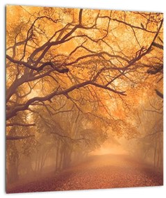 Obraz cesty v podzimní krajině (30x30 cm)