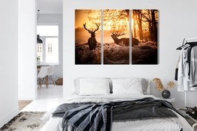 Vícedílný obraz Dva Jeleni V Lese Při Západu Slunce 3D Nedostatek Nedostatek Přírodní plátno 150x100