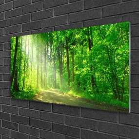 Obraz na skle Les Cestička Stromy Příroda 125x50 cm