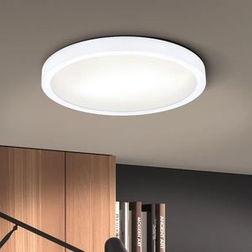 Brilagi -LED Stmívatelné svítidlo ESTELA LED/48W/230V 3000-6500K pr. 40 cm bílá+DO