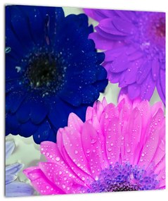 Obraz barevných květin (30x30 cm)