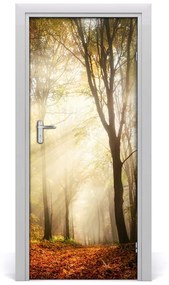 Fototapeta na dveře samolepící les podzim 75x205 cm