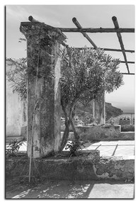 Obraz na plátně - Starověká zahrada na mořském pobřeží - obdélník 7249QA (60x40 cm)
