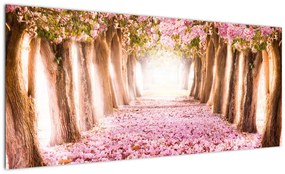 Obraz aleje stromů (100x40cm)
