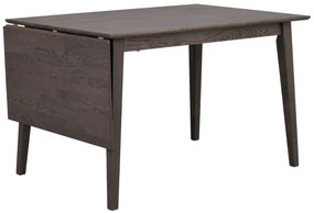 OnaDnes -20% Tmavě hnědý dubový rozkládací jídelní stůl ROWICO FILIPPA 120/165 x 80 cm