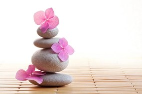 Samolepící fototapeta balanc kamenů a růžové květy - 225x150 cm