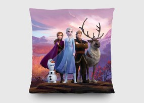 Dekorativní polštářek Ledové Království v Lese, Disney | 40 x 40 cm | DCND 3129