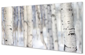 Obraz na skle Stromy v zimě sníh 100x50 cm