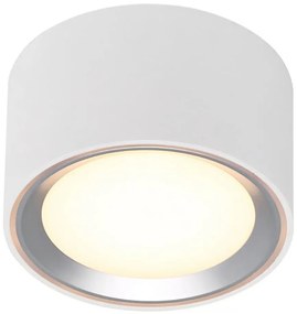 Nordlux - LED Stmívatelné stropní svítidlo FALLON LED/5,5W/230V