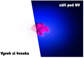 ALBI Science Neonové experimenty 2. vydání svítí ve tmě vědecký set ala9z