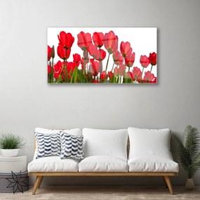 Obraz na skle Květiny 125x50 cm
