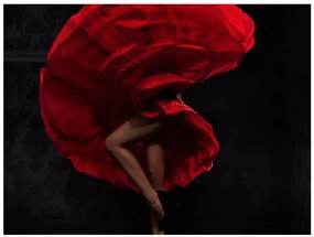 Fototapeta - Flamenco dancer