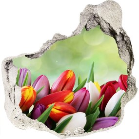 Wallmuralia Samolepící díra na stěnu Barevné tulipány 75x75 cm