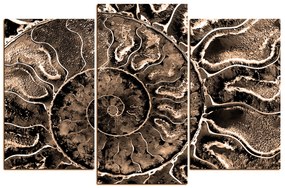 Obraz na plátně - Textura fosílie 1174FC (105x70 cm)
