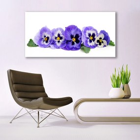 Plexisklo-obraz Plátky Květ Macešky 120x60 cm