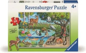 Ravensburger Puzzle: Zvířata na zemi i pod ní - tajemství přírody / 60