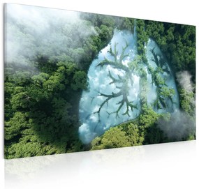 Malvis ® Obraz Plíce země Velikost (šířka x výška): 130x80 cm