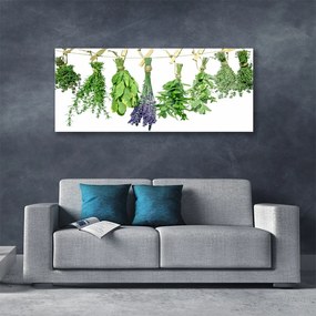 Plexisklo-obraz Plátky Květiny Byliny 125x50 cm