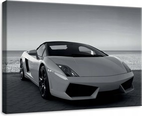 Obraz 70x50 Lamborghini sportovní automobil luxus černobílý moderní