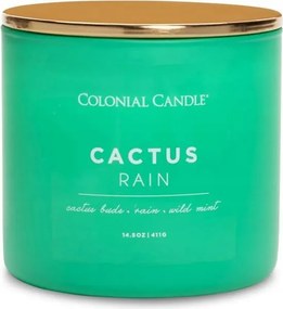 Vonná svíčka Pop Of Color Cactus Rain 411 g