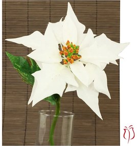 Vánoční růže, poinsécie , barva bílá UKK-045, sada 6 ks